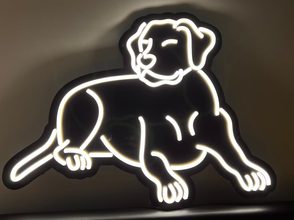 Labrador LED Neon Sign – Unique Gift Shop Online
